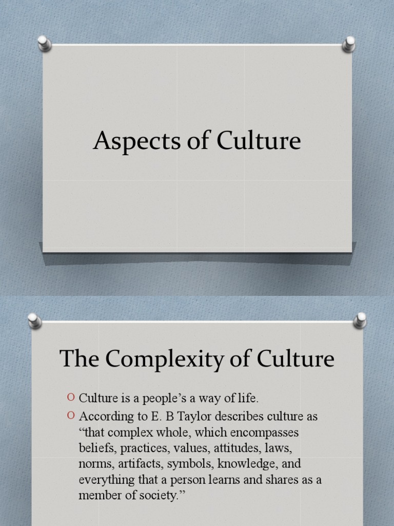 Aspects of Culture | PDF | Traditions | Socialization
