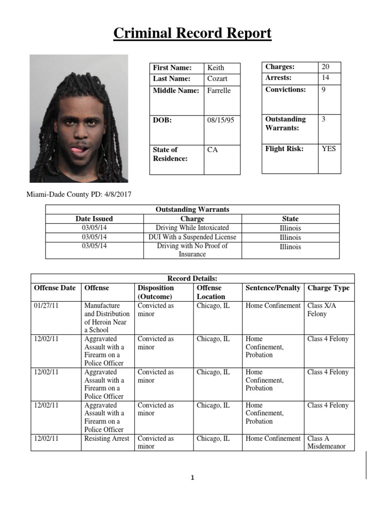 Criminal Record Report | PDF | Misdemeanor | Probation