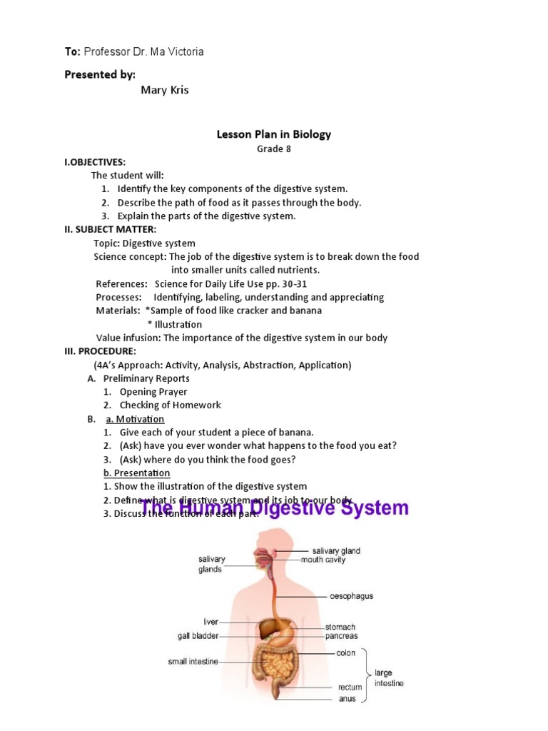 Grade 8-Digestive Lesson Plan | PDF | Human Digestive System | Digestion