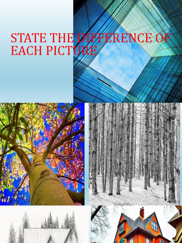State The Difference of Each Picture | PDF | Anthropomorphism | Metaphor