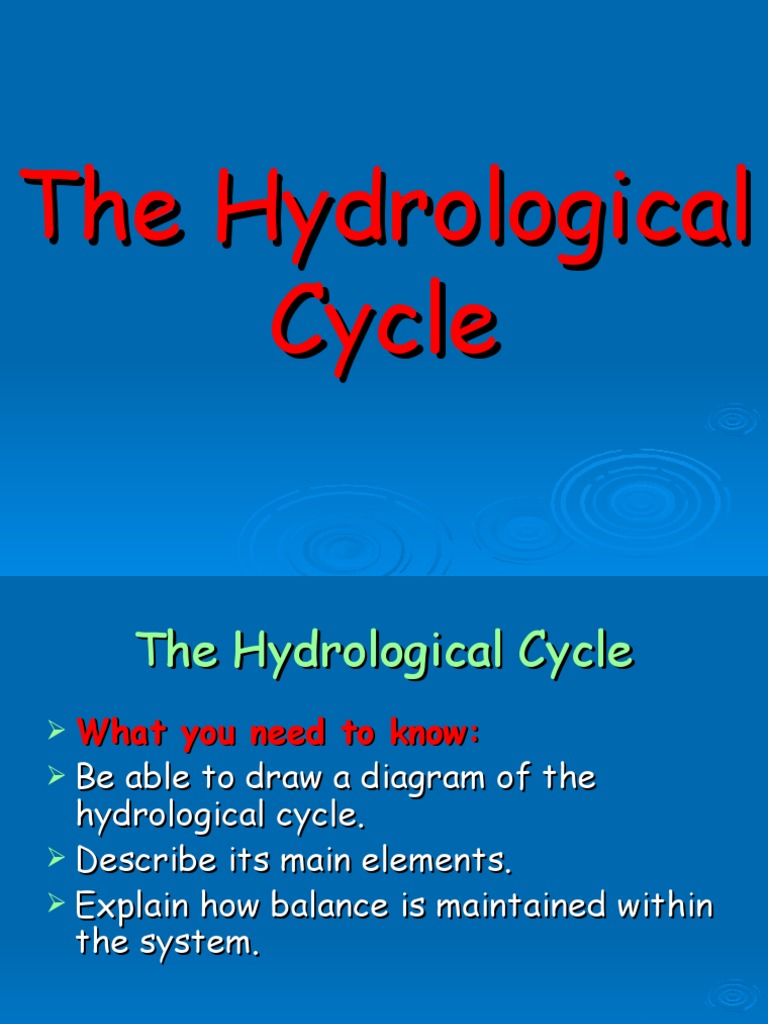 The Hydrological Cycle | PDF | Water Cycle | Hydrology