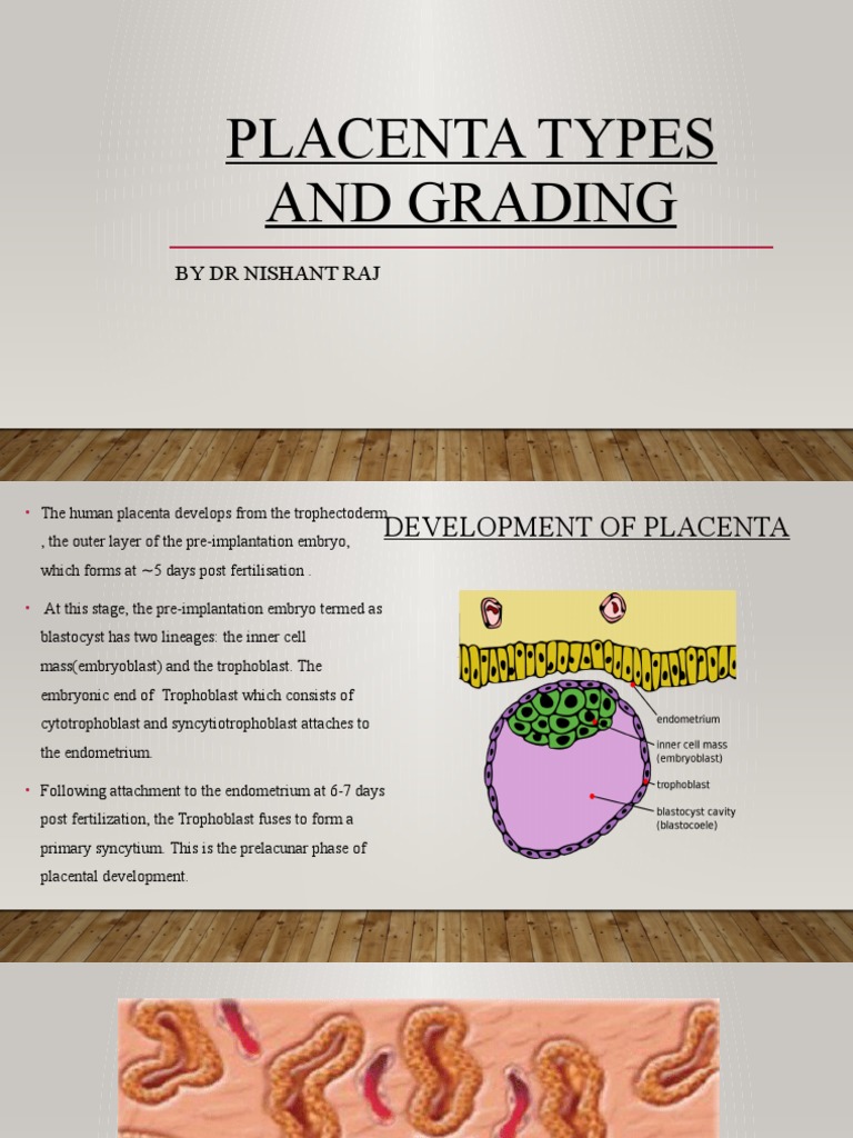 Placenta Types and Grading | PDF | Placenta | Implantation (Human Embryo)