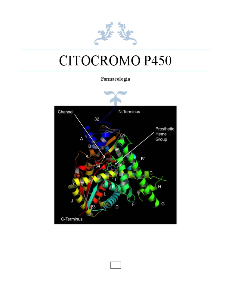 Citocromo p450 | PDF | Citocromo P450 | Química medicinal