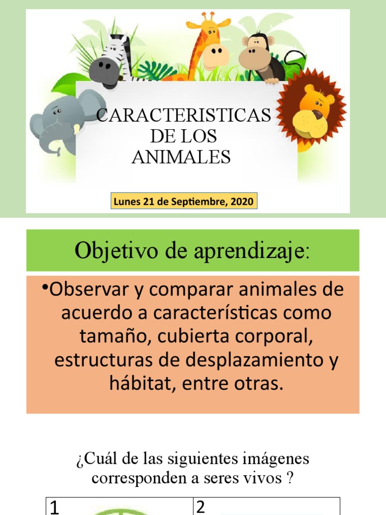 Caracteristicas de Los Animales | PDF