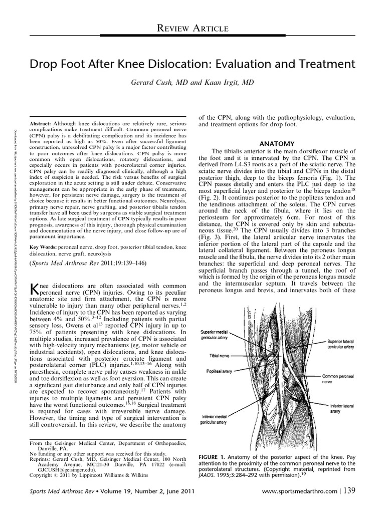 Drop Foot After Knee Dislocation Evaluation And.8 | PDF | Knee | Foot