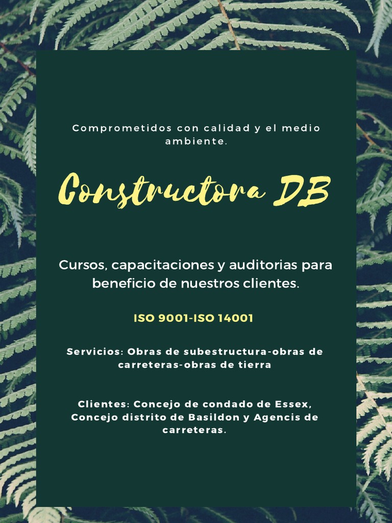 Infografia Constructora DB | PDF