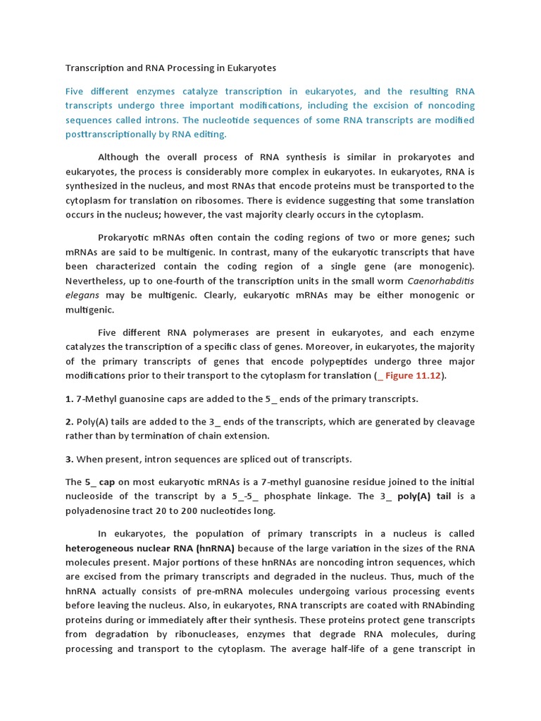 Eukaryotic RNA Transcription Guide | PDF | Messenger Rna | Gene