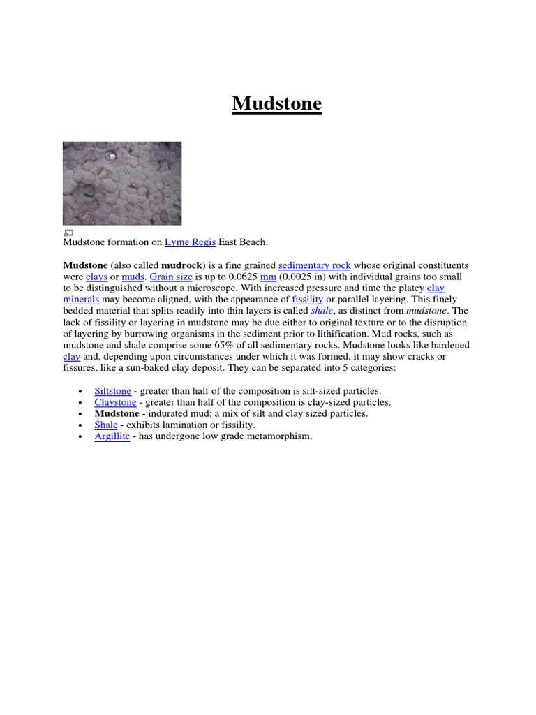 Geology Enthusiasts: Mudstone Basics | PDF | Science & Mathematics