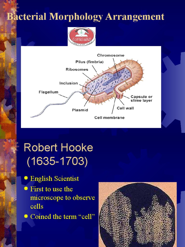 Lecture 2 Bacterial Cell Structure And Function Download Free Pdf