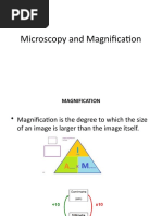 Magnification Questions | PDF | Cell (Biology) | Cell Biology