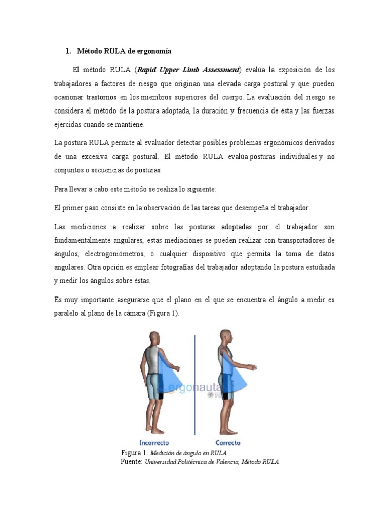 Método RULA de Ergonomía | Descargar gratis PDF | Factores humanos y ...