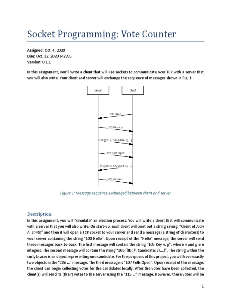 Socket Programming PDF | PDF | Network Socket | Server (Computing)