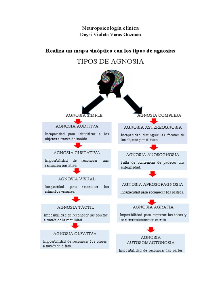 Los Tipos de Agnosias | PDF