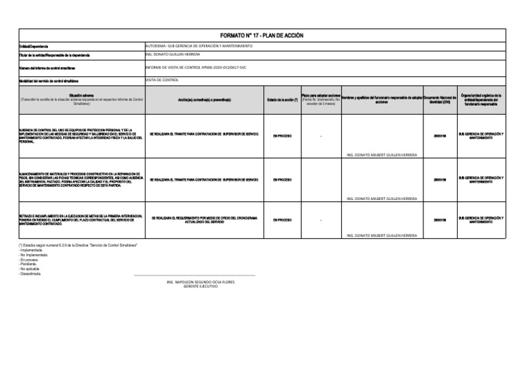 Formato 17-Plan de Accion | PDF | Business | Médico de atención primaria