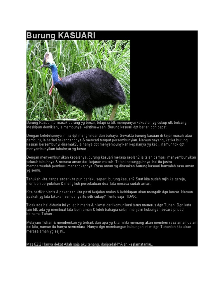 Burung KASUARI | PDF