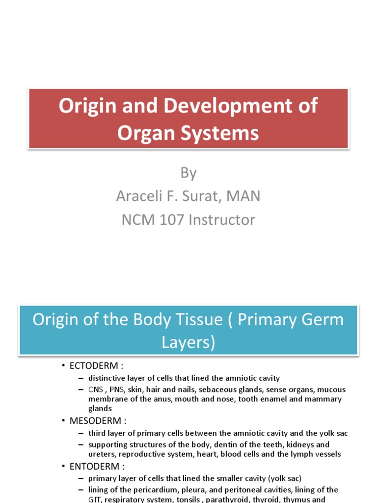Origin and Development of Organ Systems | Download Free PDF | Human ...