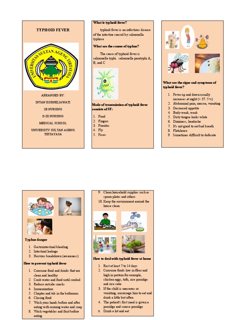 What Is Typhoid Fever? | PDF | Nausea | Public Health