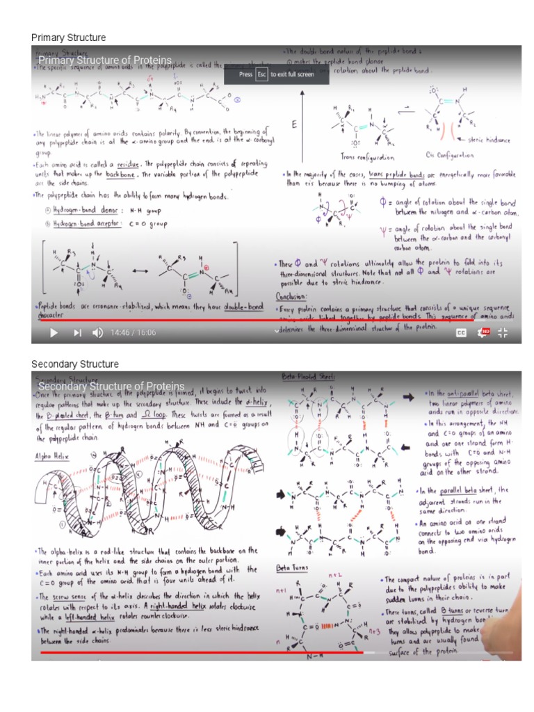Protein Structures | PDF | Alpha Helix | Beta Sheet