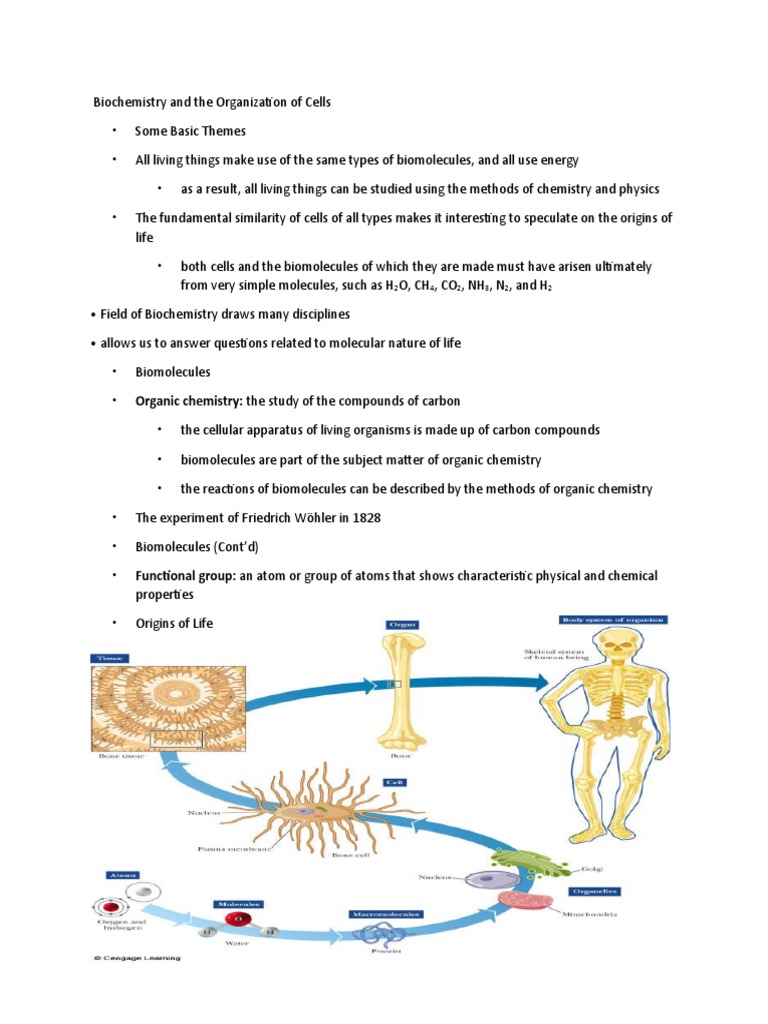 Biochemistry and The Organization of Cells | PDF | Life | Nucleic Acids