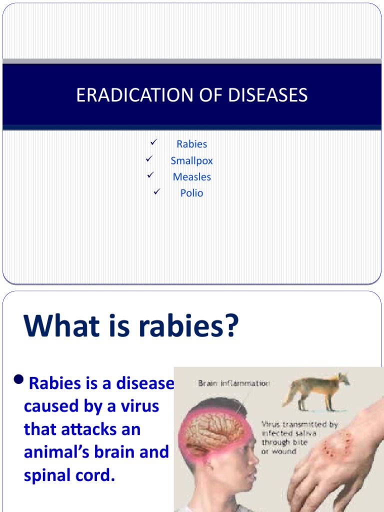 Eradication of Diseases | PDF | Rabies | Preventive Healthcare