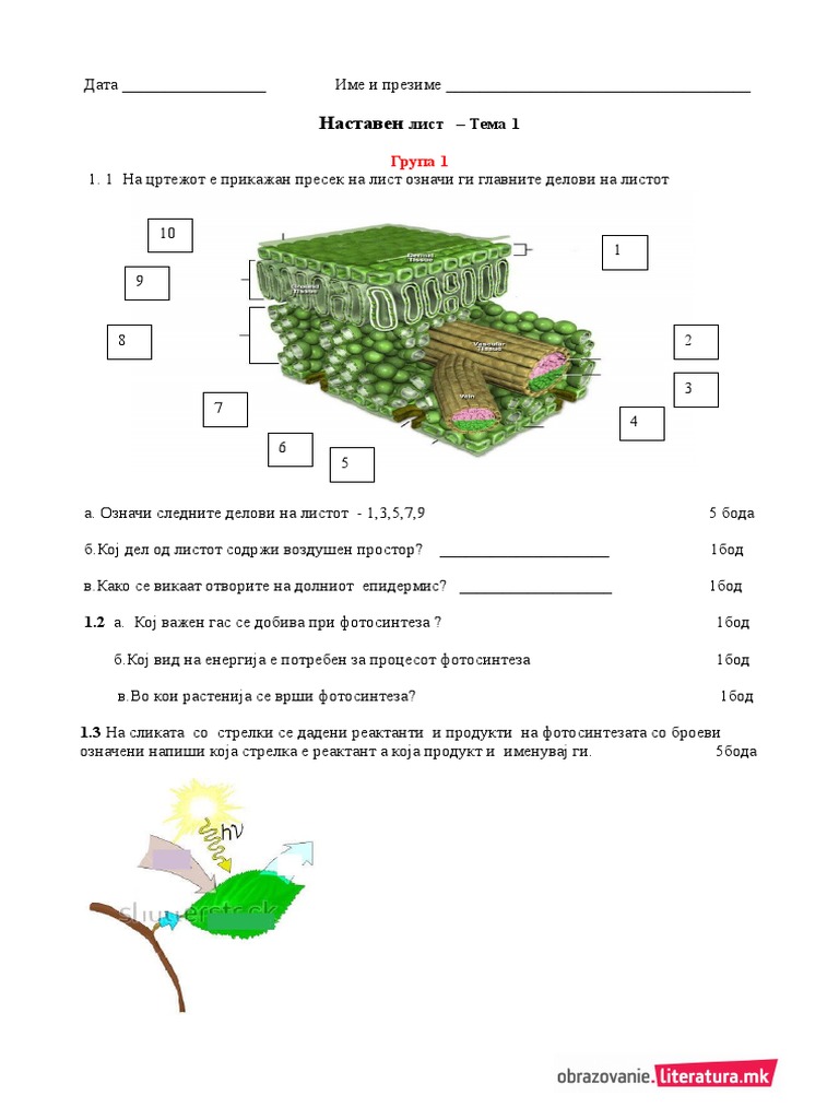 BIO 9 I BR - Cas 9 NASTAVNI LISTOVI | PDF