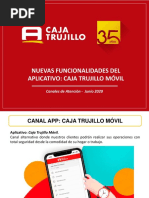 Canales de Atención Provis | PDF | Informática