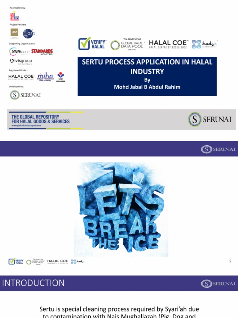 Sertu Implementation HCOE2 PDF | PDF