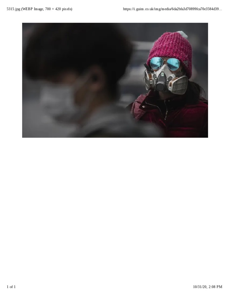 Mask | PDF