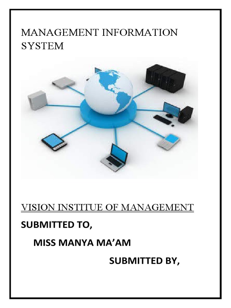 Management Information System | PDF | Internal Control | Management ...