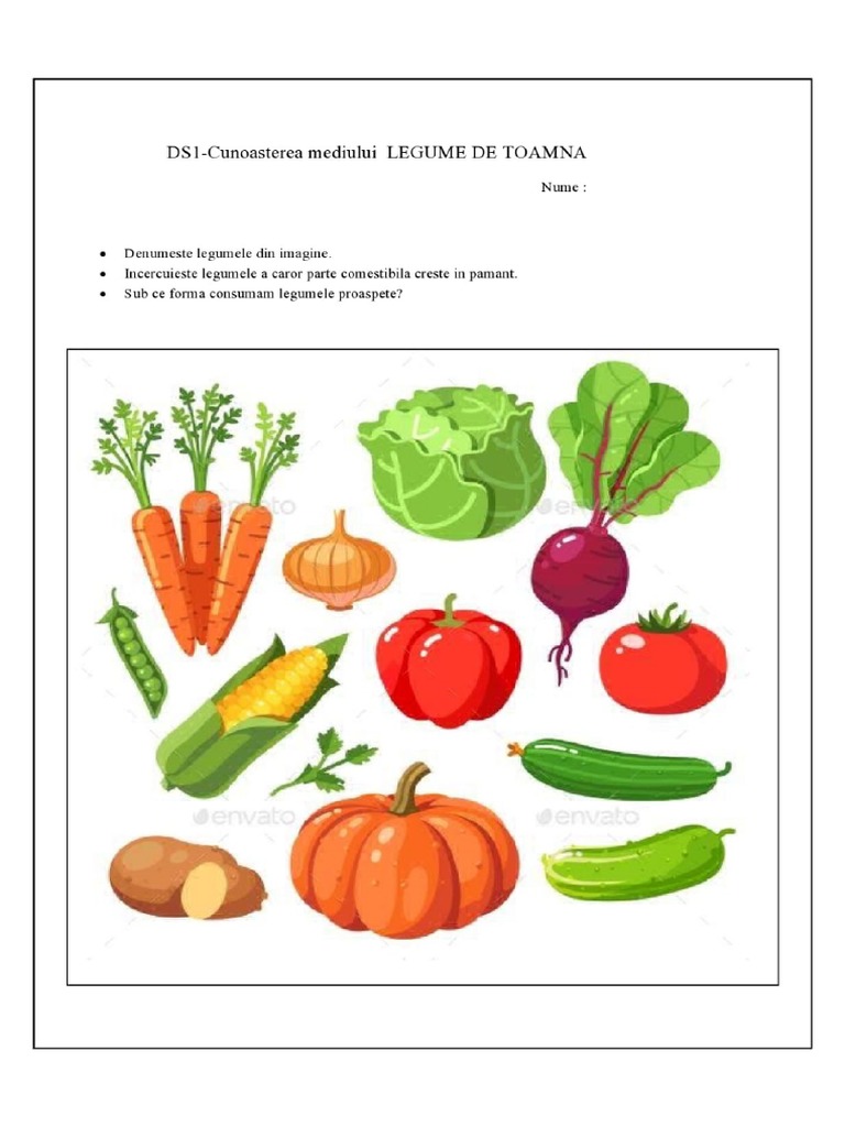 Fisa Legume Toamna | PDF