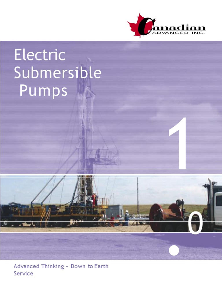 Electric Submersible Pump Systems Guide | PDF | Computers | Technology ...