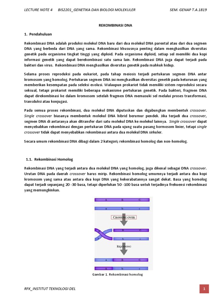 9.rekombinasi Dna | PDF