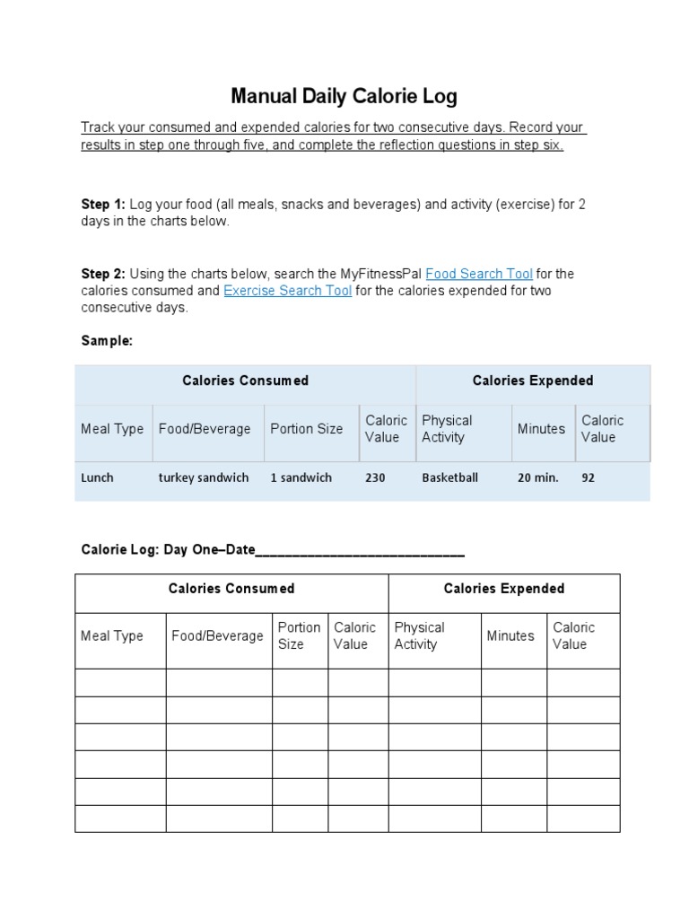 Option 1 Manual Daily Log | PDF