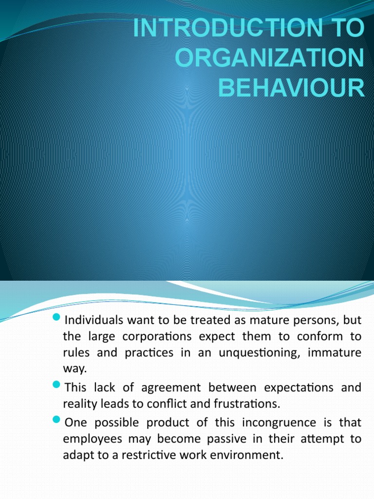 Introduction To Organization Behaviour | PDF