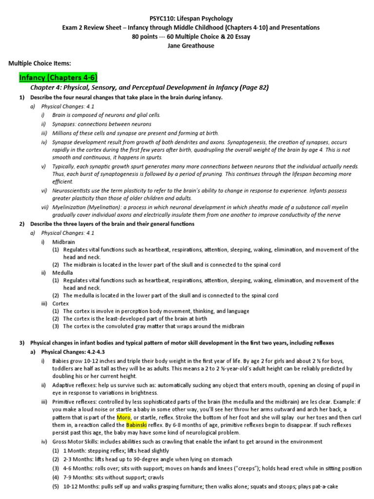 Exam 2 Review Sheet | PDF | Attachment Theory | Neuron