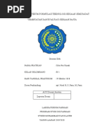 Laprak Semisolid Pasta | PDF