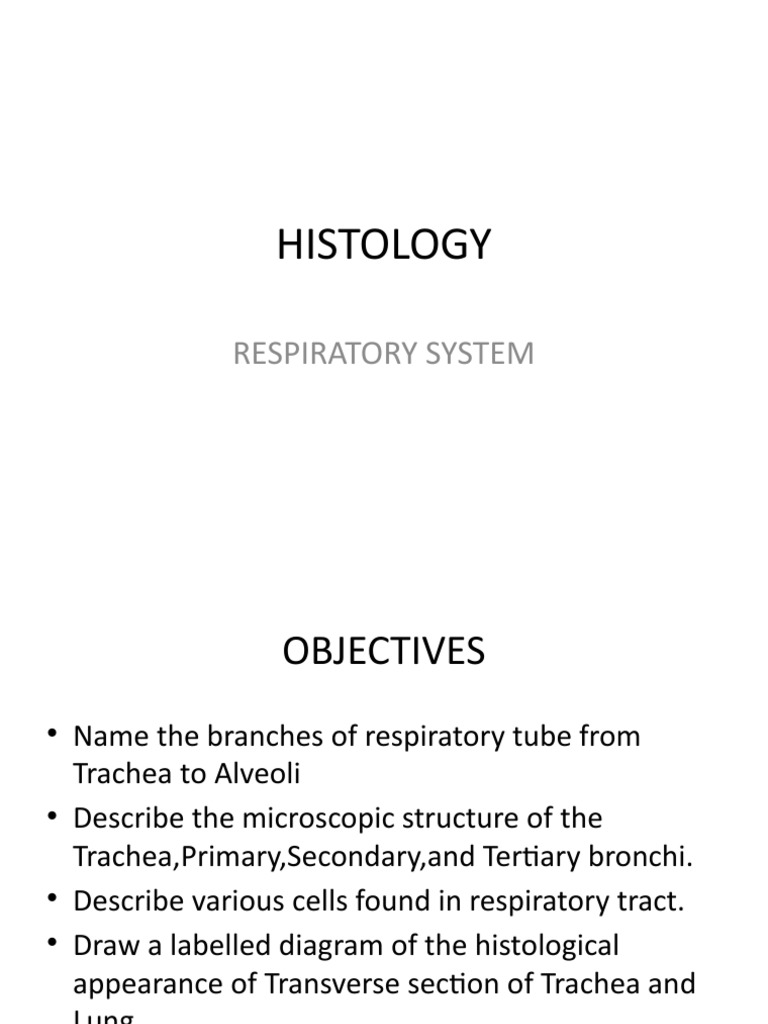 Histology Respiratory System Pdf Respiratory Tract Lung