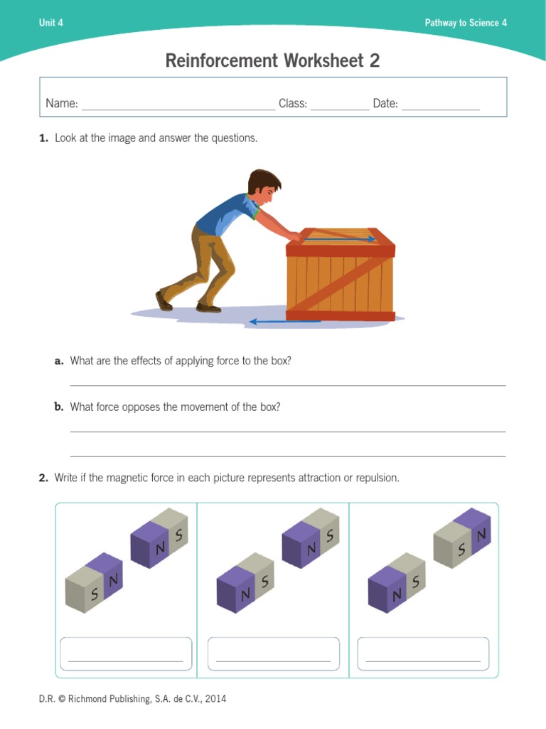 Reinforcement Worksheet 2 Unit 4 | PDF