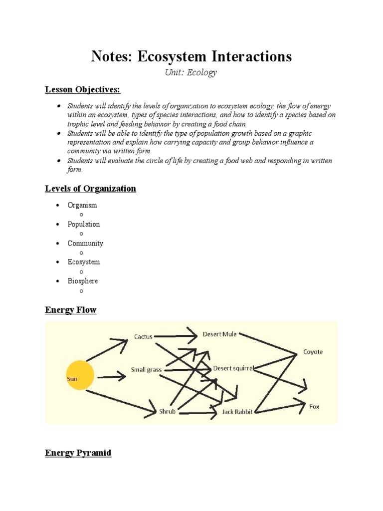Ecosystem Interactions Moderately Guided Notes | PDF | Food Web ...