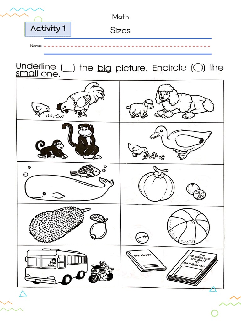 Lesson 1 - Sizes | PDF