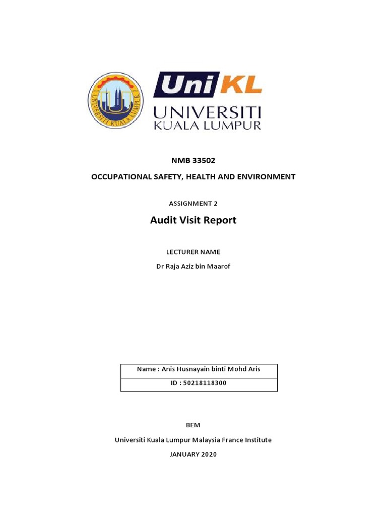 Audit Visit ReportPDF | PDF | Occupational Safety And Health | Safety