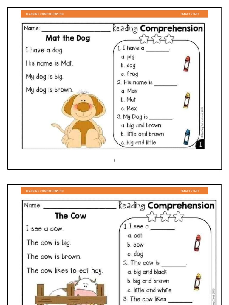 Learning Comprehension Strategies | PDF