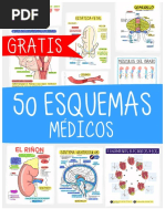 Incisión Rocky Davis | PDF | Medicina CLINICA | Anatomía