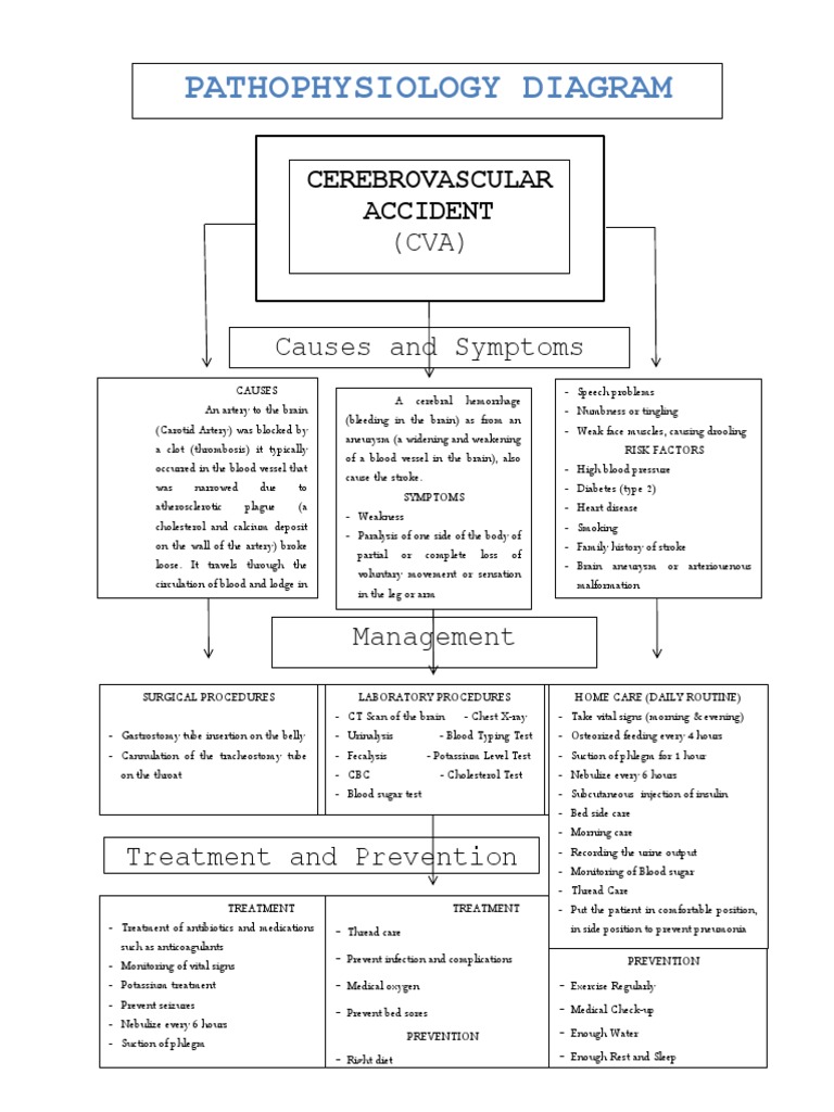 Pathophysiology Diagram: Cerebrovascular Accident | PDF | Stroke ...