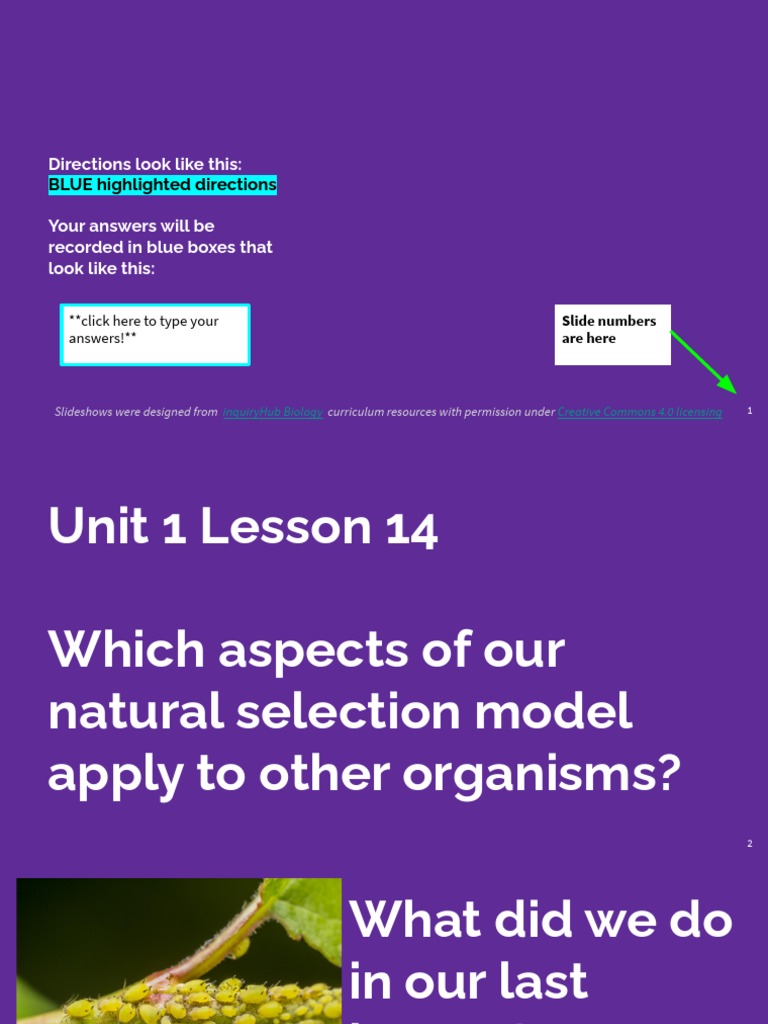 JAKE GREEN - Lesson 14 Ihub Biology Unit1 Bend2 | Download Free PDF ...