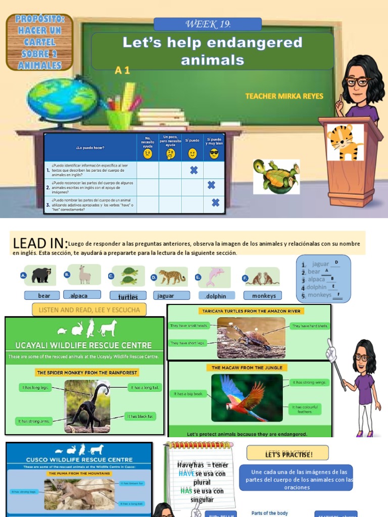 Pre-A1 Week 19-Lets Help Endangered Animals Edwin | PDF | Cetaceans ...
