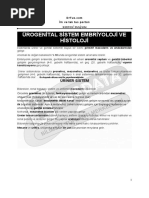 Tatarcik | PDF