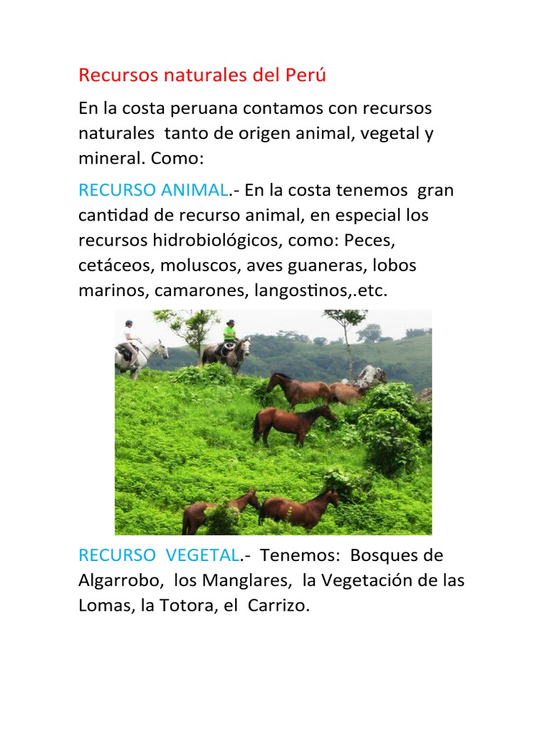 Recursos Naturales Del Perú | PDF