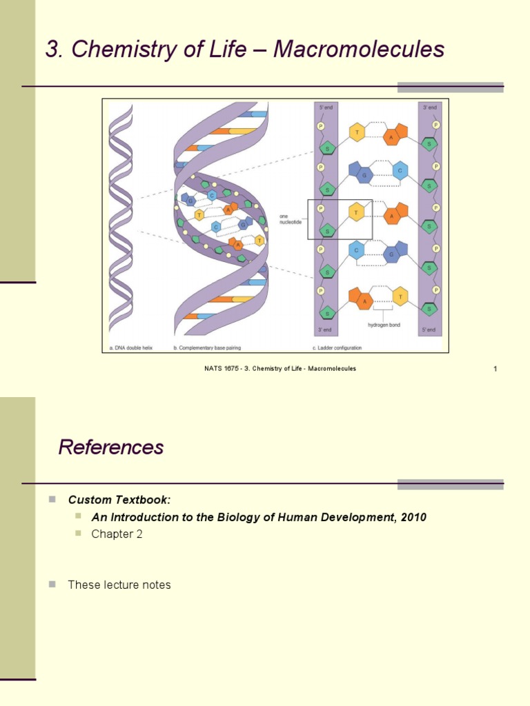 NATS 1675 - 3. Chemistry of Life - Macromolecules | PDF ...
