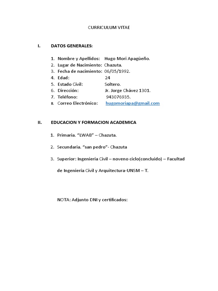 CURRICULUM VITAE Hugo | PDF